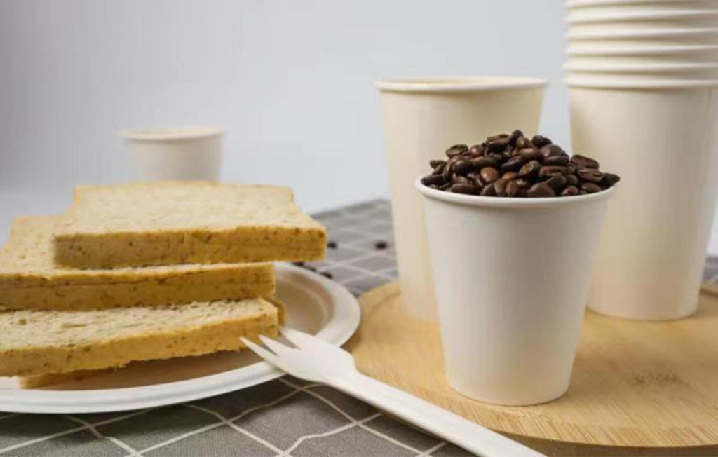 Exploring Corn Starch Packaging Benefits | HengFeng